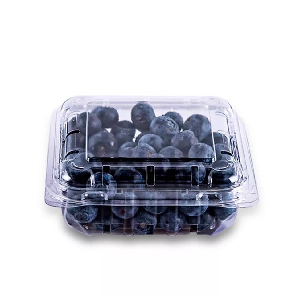 Nature¿s Promise | Bio borovnica 125g | Maxi