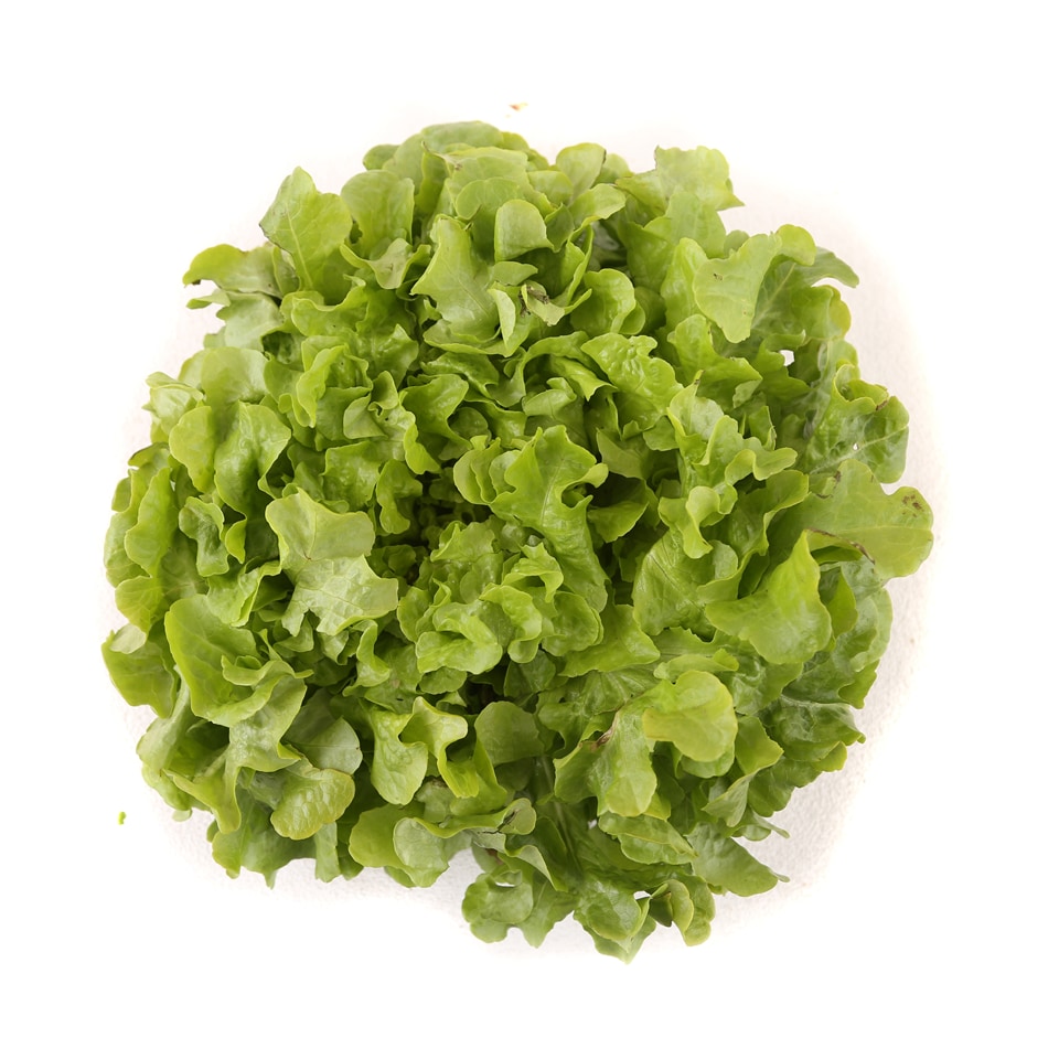 Maxi pijaca | Salata Puterica domaca | Maxi