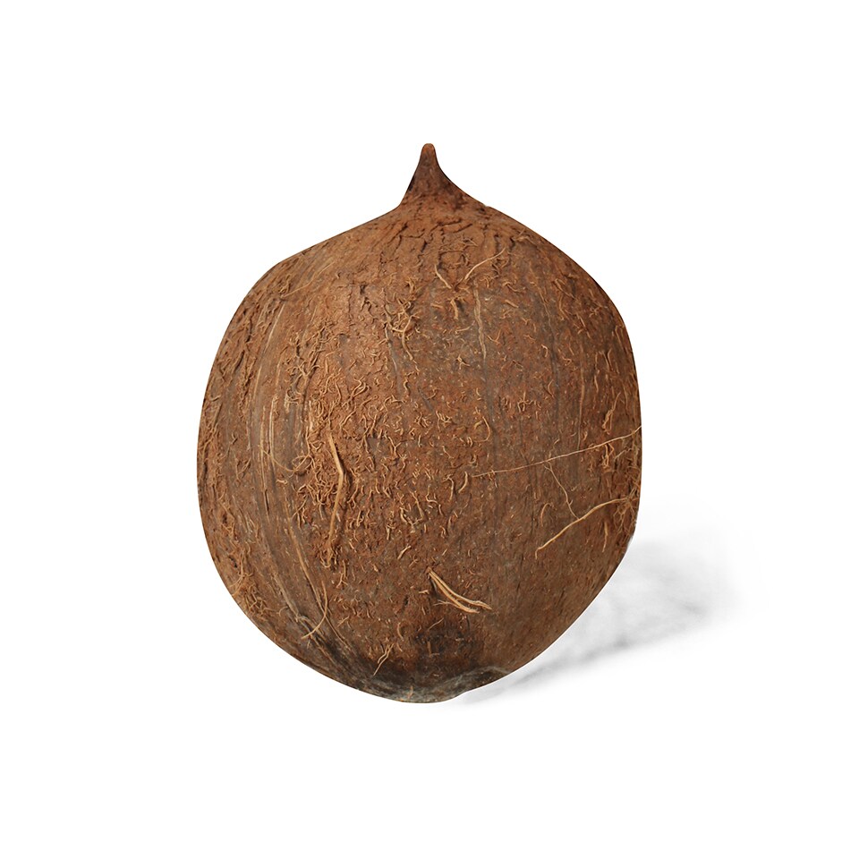 Maxi pijaca | Kokos komad | Maxi